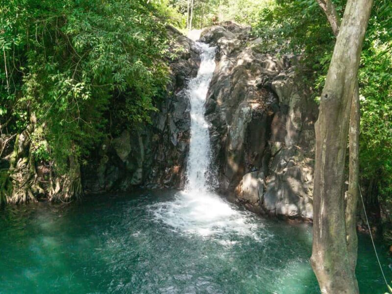 Bali: Lovina Marine Wonders, Dolphin Swim & Snorkeling. - FAQs