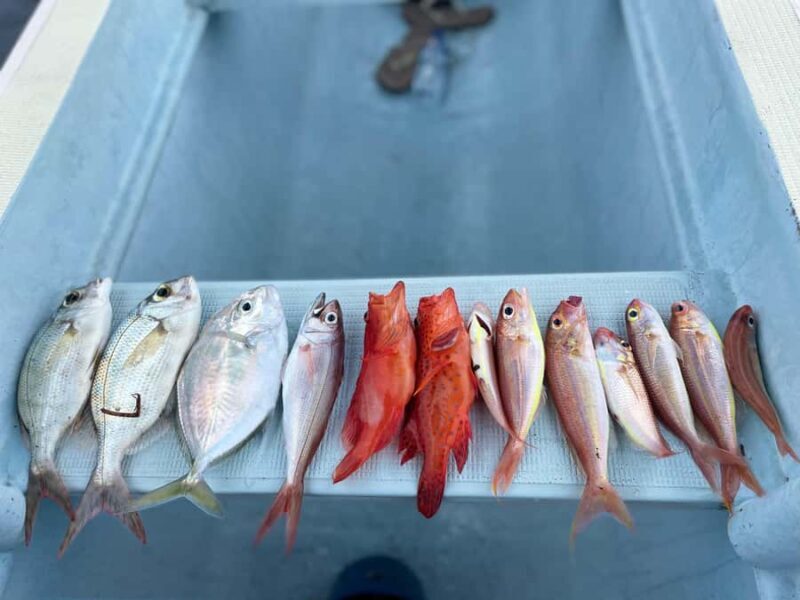 Bali/Lovina: Private Fishing Tour with Snorkeling Option - Practical Details and Tips