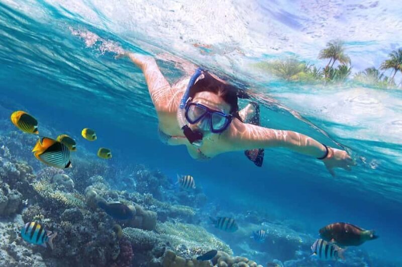 Bali/Lovina: Private Fishing Tour with Snorkeling Option - FAQ