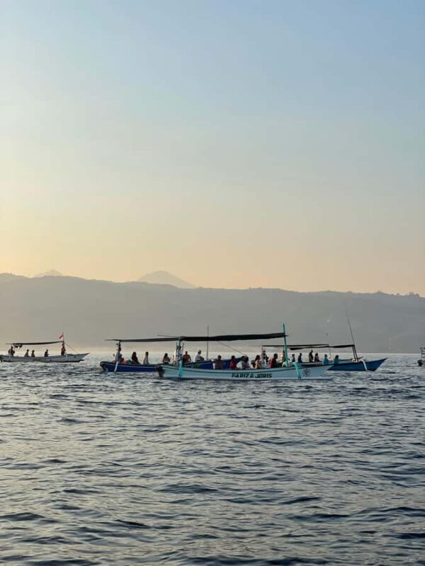 Bali: Lovina Private Meet Dolphins & Snorkeling Coral Reefs - A Closer Look at the Tour Experience