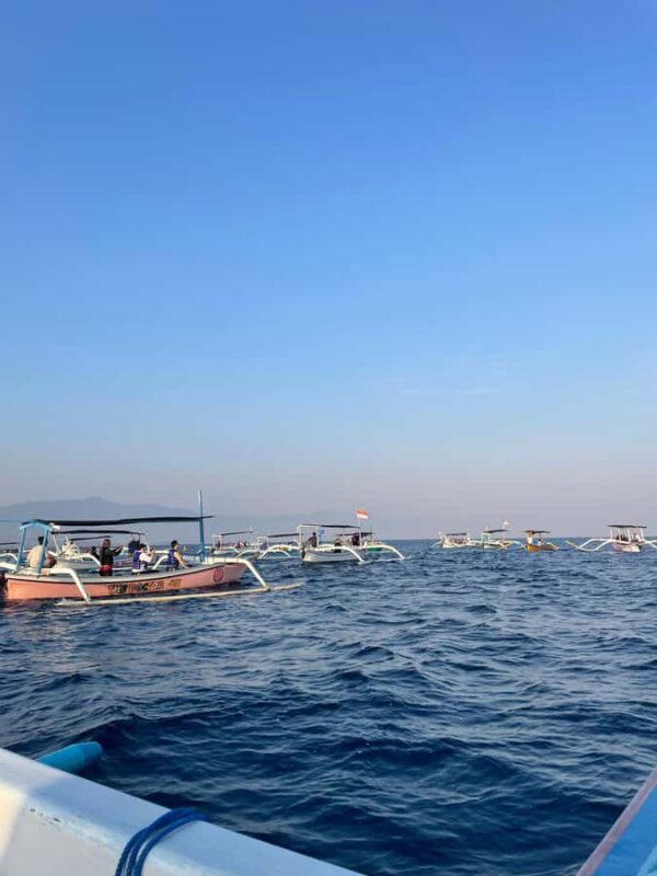 Bali: Lovina Private Meet Dolphins & Snorkeling Coral Reefs - FAQ