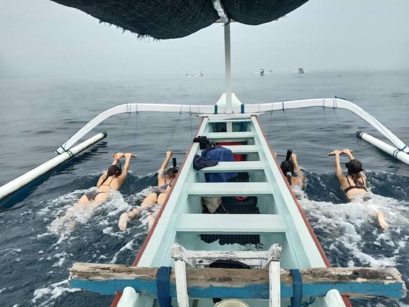 Bali/Lovina: Private or Shared Sunrise Dolphin Snorkel Tour - What Makes This Tour Stand Out?