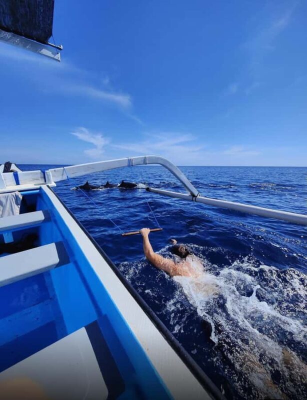 Bali/Lovina: Sunrise Dolphin Snorkel & Waterfall Cliff Jump - Key Points