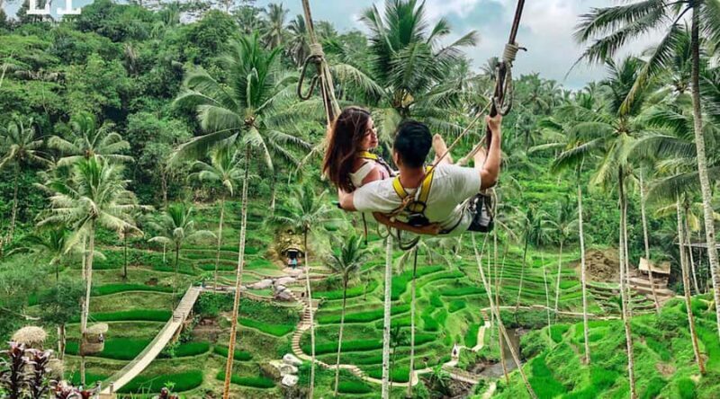 Bali/Lovina: Sunrise Dolphin Snorkel & Waterfall Cliff Jump - Wanagiri Hidden Hills & Scenic Views