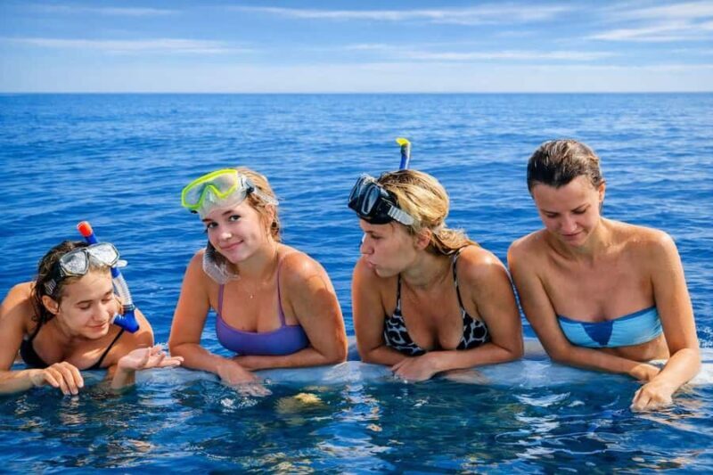 Bali/Lovina: Sunrise Dolphin Snorkel & Waterfall Cliff Jump - Practical Details and Value