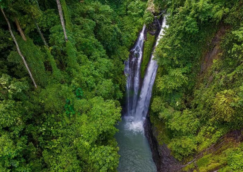 Bali/Lovina: Sunrise Dolphin Snorkel & Waterfall Cliff Jump - Worthwhile Considerations