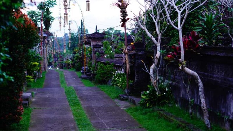 Bali: Magical Night Firefly Tour with Culture Insight - Environmental & Ethical Considerations