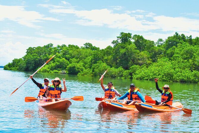 Bali Mangrove Canoeing Tour - Authentic Review Snippets