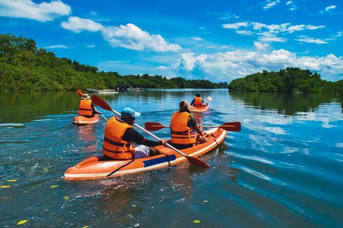 Bali Mangrove Canoeing Tour - FAQ