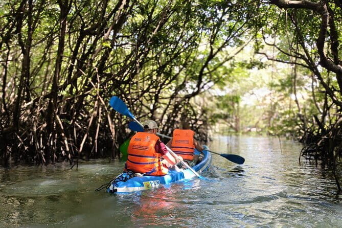 Bali: Mangrove Kayaking, GWK Park, Uluwatu Kecak fire Dance - Key Points