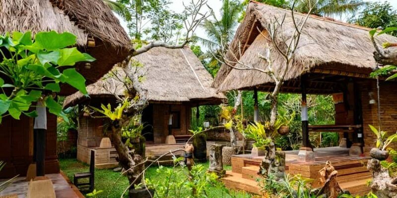 Bali: Manukaya Home of Tirta Tample, Rice Fields and Coffee - Who Will Love This Tour?