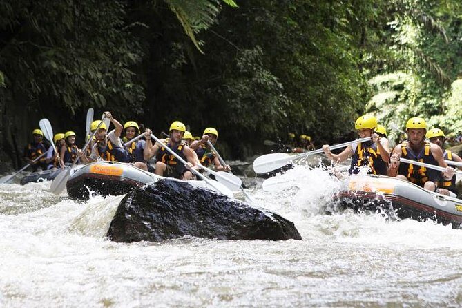 Bali Mason Adventure White Water Rafting - Final Thoughts