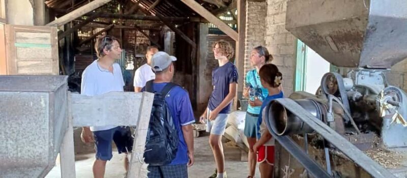 Bali: Mayong Village Trekking Tour - Key Points