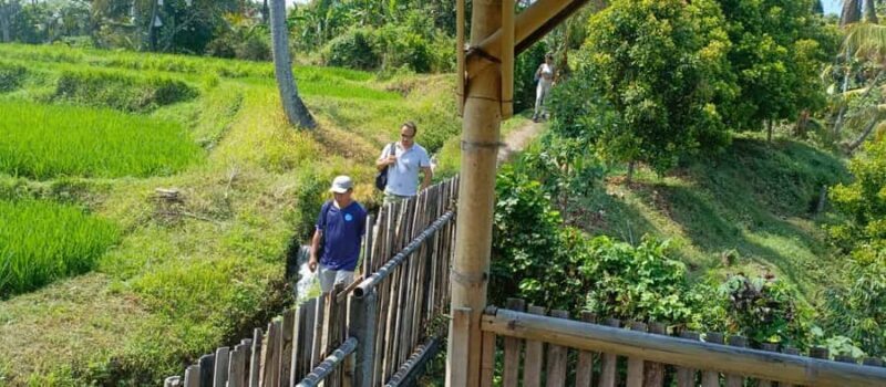 Bali: Mayong Village Trekking Tour - Final Thoughts