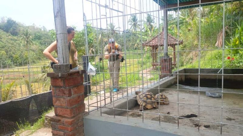 Bali: Mayong Village Trekking Tour - Who Should Consider This Tour?