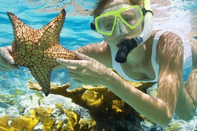 Bali Menjangan Island Snorkeling Day Tour - Who Will Love This Tour?