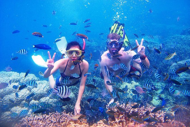 Bali Menjangan Island Snorkeling Day Tour - FAQs