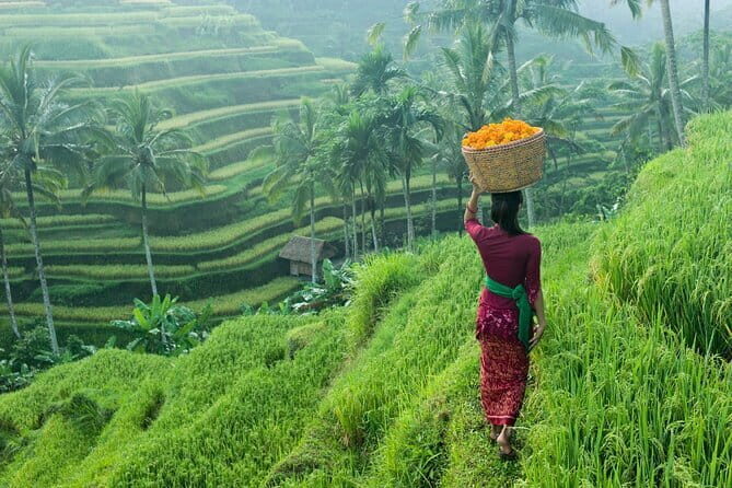 Bali: Monkey Forest, Rice Terrace and Ubud Market Guided Tour - FAQs