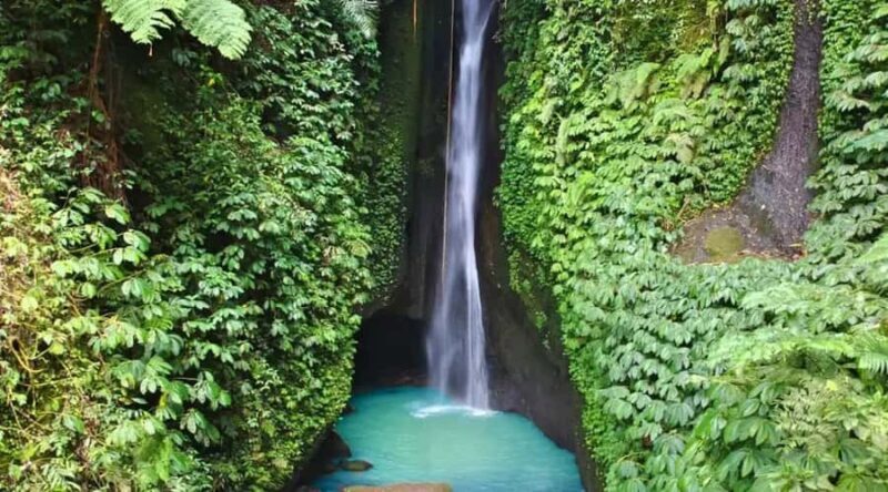 Bali: Monkey Forest Sangeh ,Temple & Waterfall- Private Tour - Who Would Love This Tour?