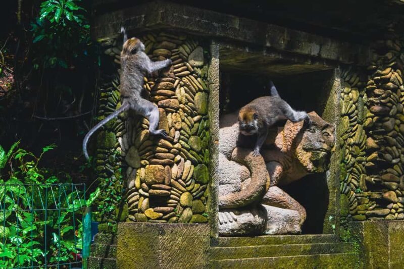 Bali: Monkey Forest, Taman Ayun, Tanah Lot Temple Tour - Who Should Consider This Tour?