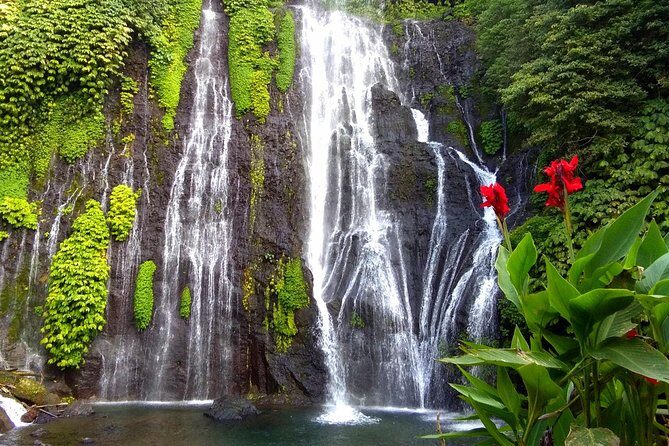 Bali most INSTAGRAMABLE Photo Tour - The Experience: What It Feels Like