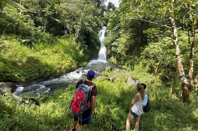 Bali Most Scenic Waterfalls Trekking - An In-Depth Look at the Waterfalls Trekking Tour in Bali