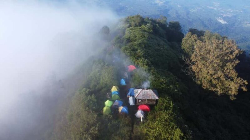 Bali: Mount Batukaru Sunrise Trekking Experience - Authenticity and Value