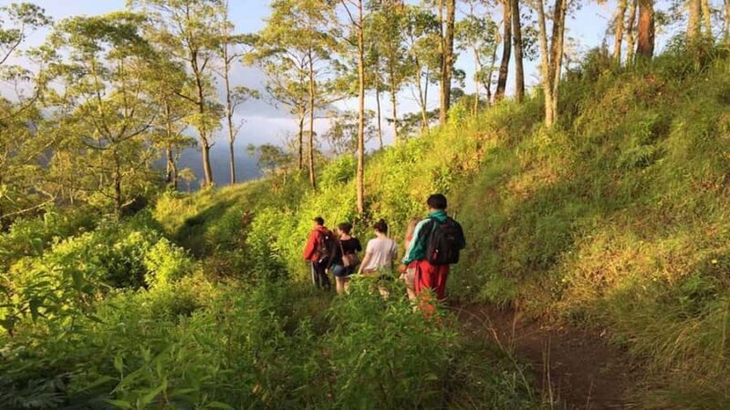 Bali: Mount Batur Caldera Trek, Lake Boat & Coffee Tour - Authenticity & Reviews: What Travelers Say