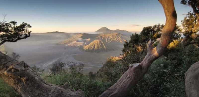 Bali: Mount Bromo Sunrise Tour with Transfer Options - Who Is This Tour Perfect For?