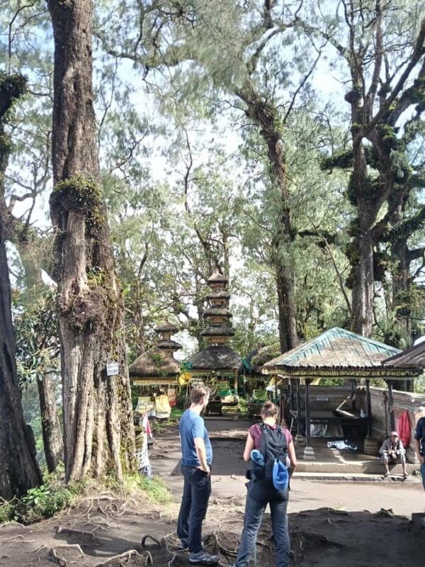 Bali: Mount Catur Trek from Pelaga and finish at Bedugul - An In-Depth Look at the Mount Catur Trek Experience