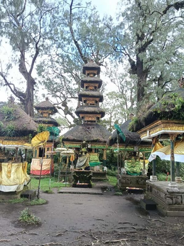 Bali: Mount Catur Trek from Pelaga and finish at Bedugul - Final Thoughts: Is It Worth It?