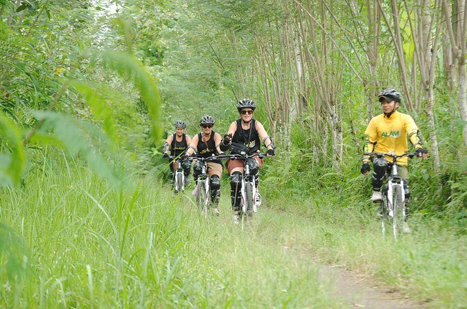 Bali Mountains and Villages Cycling Tour - A Closer Look at the Bali Mountains and Villages Cycling Tour