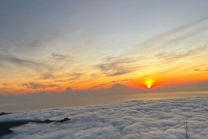 Bali: Mt Batur Sunrise Trekking with Breakfast Atop - Visiting the Bali Coffee Plantation — A Tasty Bonus