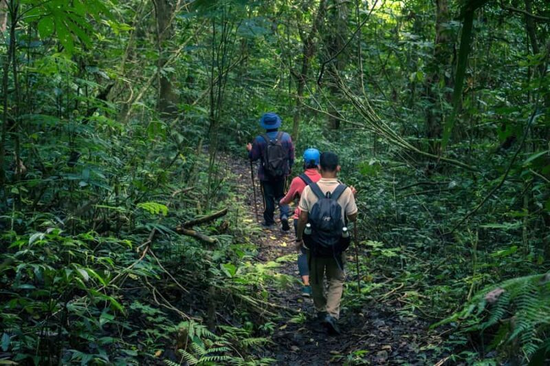 Bali-Munduk: Jungle Trek, Canoe & Bamboo Weaving Class - Key Points