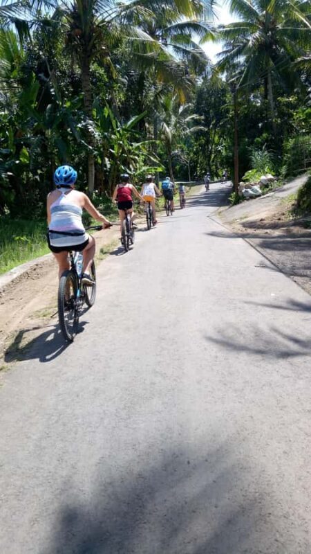 Bali Natural Downhill Cycling Tour and visit Batur Volcano - Key Points