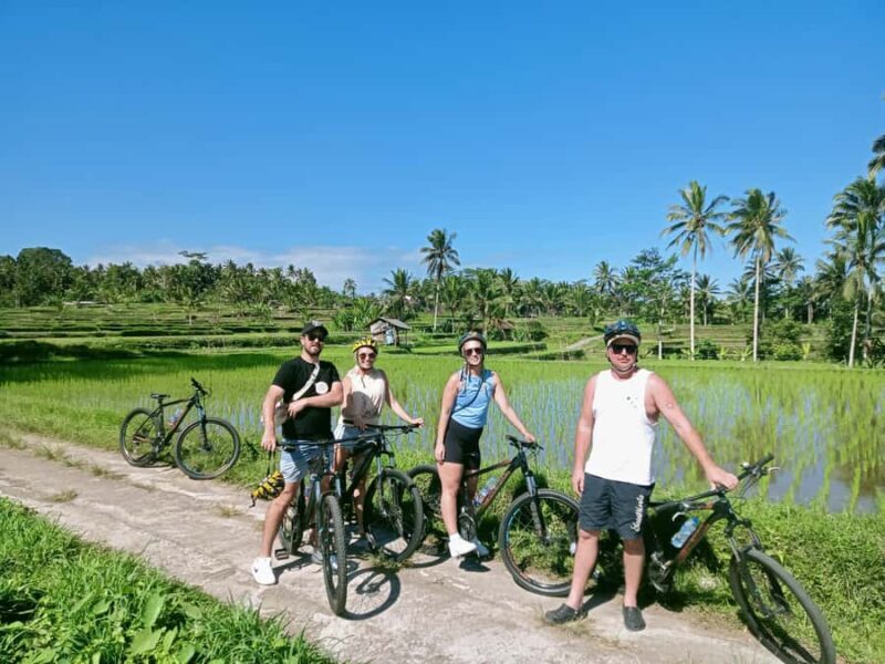 Bali Natural Downhill Cycling Tour and visit Batur Volcano - Why This Tour Stands Out
