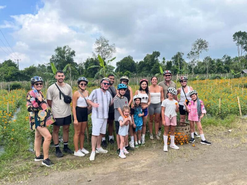 Bali Natural Downhill Cycling Tour and visit Batur Volcano - Analyzing the Value