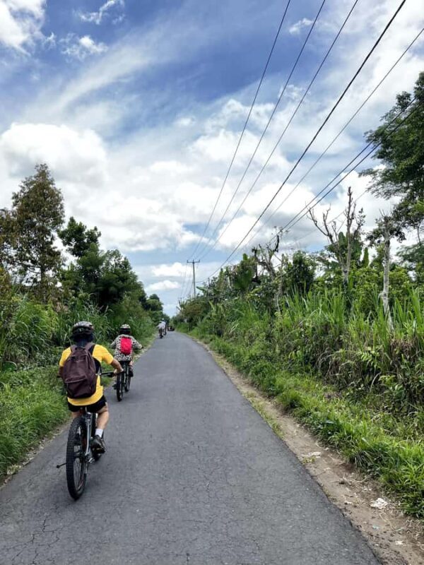 Bali Natural Downhill Cycling Tour and visit Batur Volcano - Who Will Love This Tour?