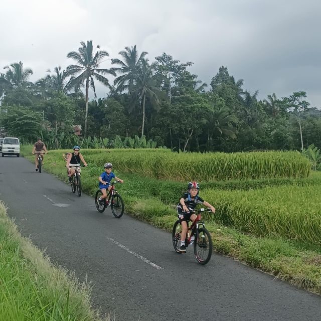 Bali Natural Downhill Cycling Tour and visit Batur Volcano - FAQs