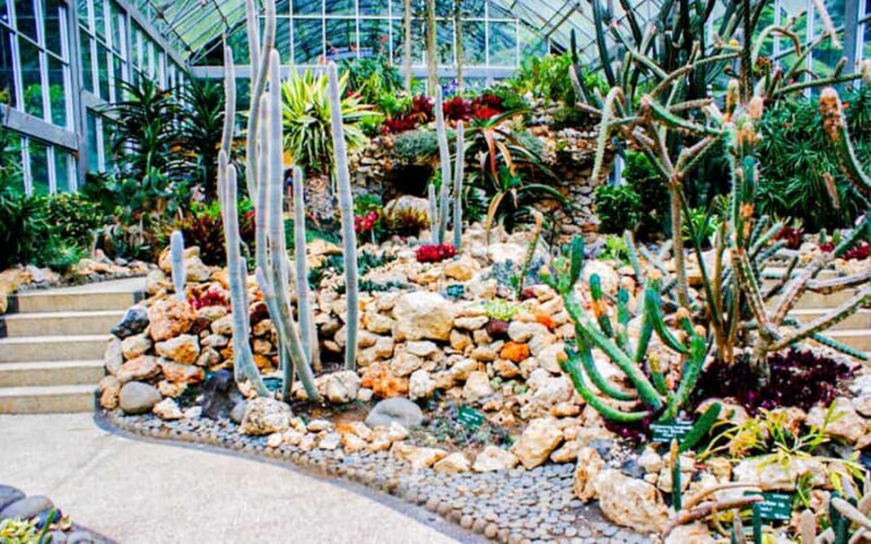 Bali: Natures Bloom, Lake Reflections and Strawberry Bliss - FAQs