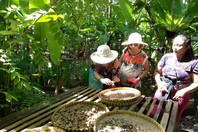 Bali Night Market Experience and Ubud Highlights tour - Final Takeaway: Who Should Consider This Tour?