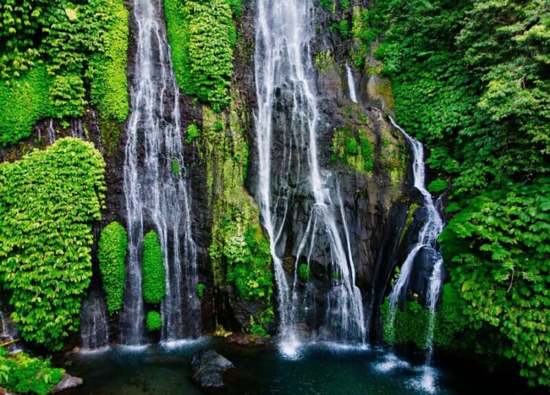 Bali: North Bali Highlands Tour with Water the Temple - Key Points