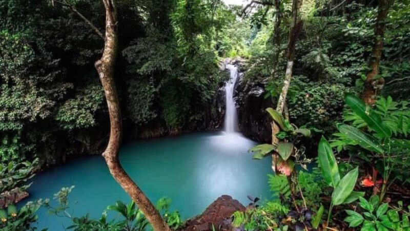 Bali: North Bali Tour With Flexible Itinerary Options - Frequently Asked Questions