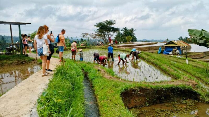 Bali: North Bali Tour With Yeh Hoo Waterfall - Key Points