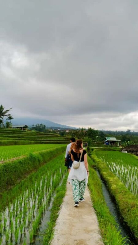 Bali: North Bali Tour With Yeh Hoo Waterfall - Frequently Asked Questions