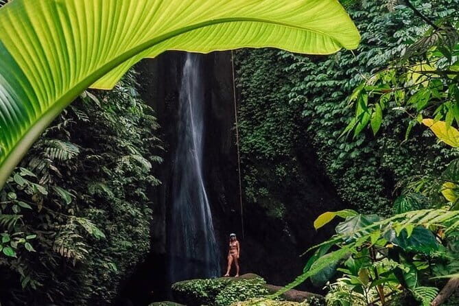 Bali : Northern Bali Private Day Trip with Transfer - Introduction