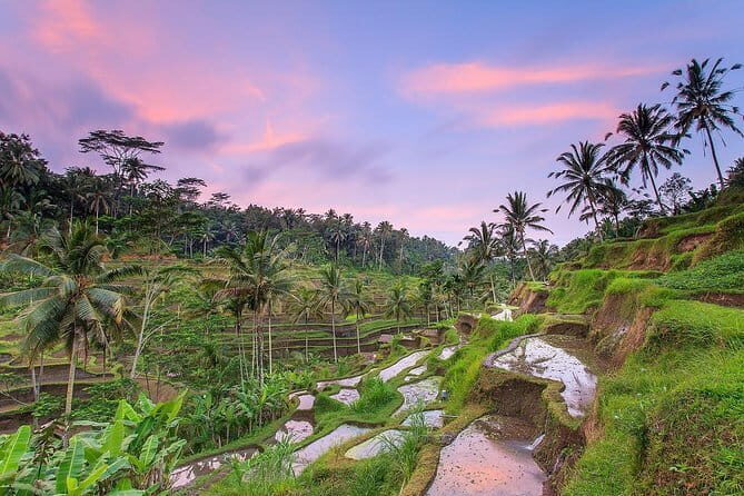 Bali : Northern Bali Private Day Trip with Transfer - The Sum Up