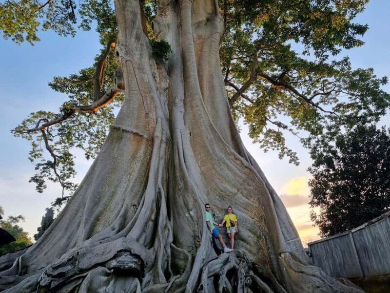 Bali: Nung-Nung Waterfall & Rice Terraces Tour - Introduction: Why Choose This Tour?