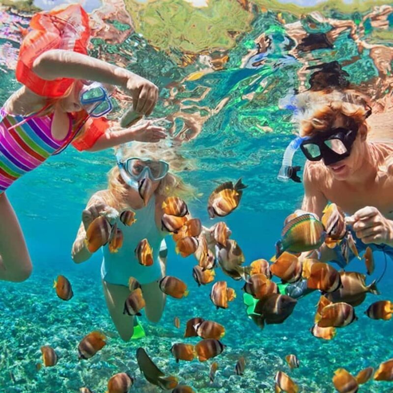 Bali/Nusa Dua: Snorkeling, Glass Boat Ride & Turtle Center - Frequently Asked Questions