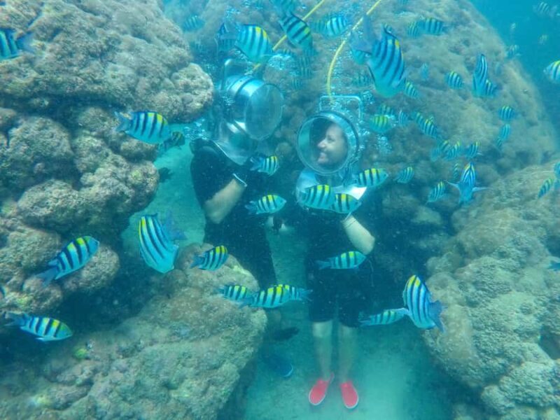 Bali: Nusa Dua Underwater Sea Walking Experience - FAQ